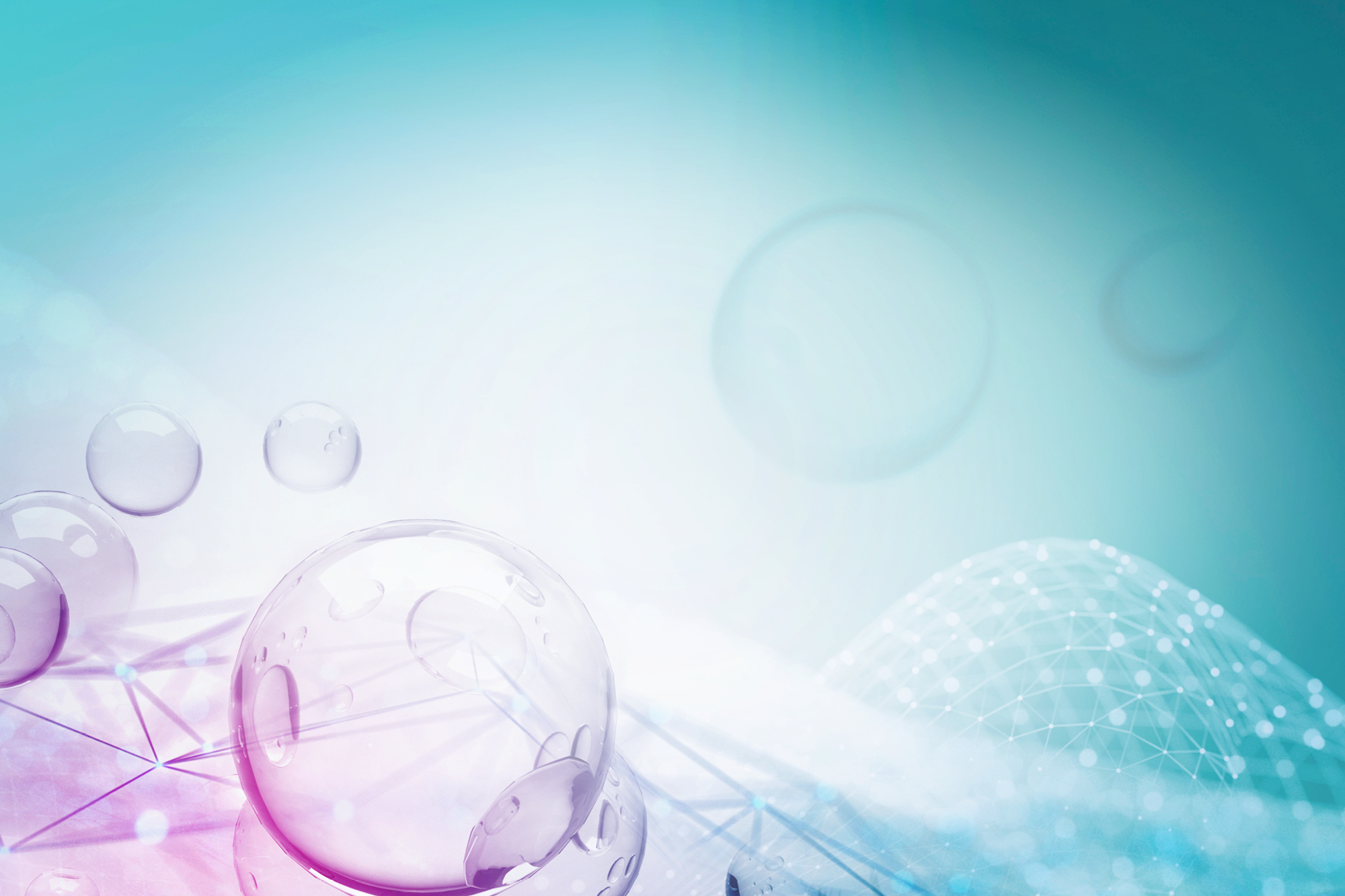 CMS Berlin 23. - 26. Sep 2025